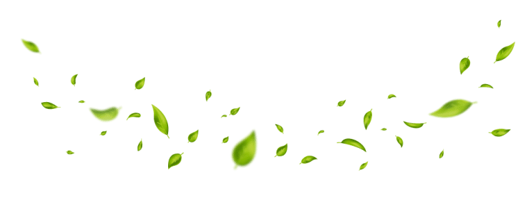 Neuton Auto E-buses | Clean Transportation | E-Bus OEM