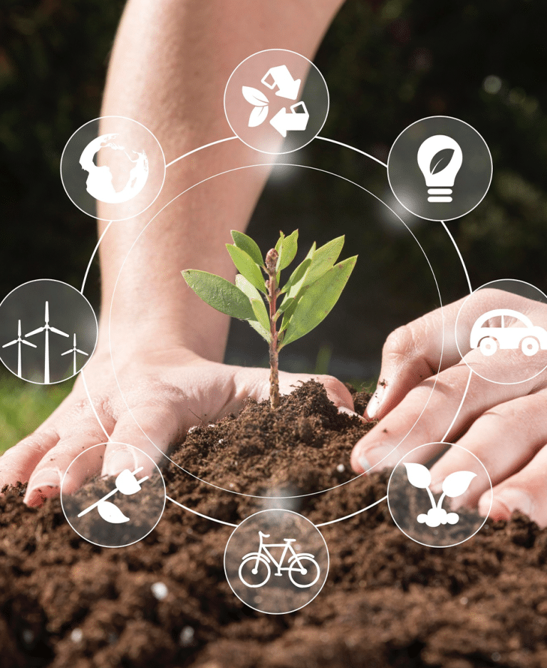 Neuton Auto E-buses | Clean Transportation | E-Bus OEM